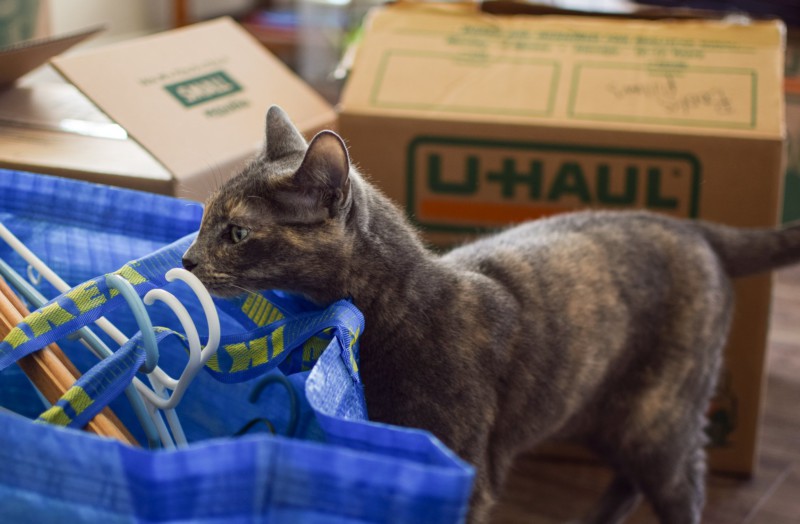 5 Make-Ahead Food Prep Ideas for Moving Day - Project Meal Plan